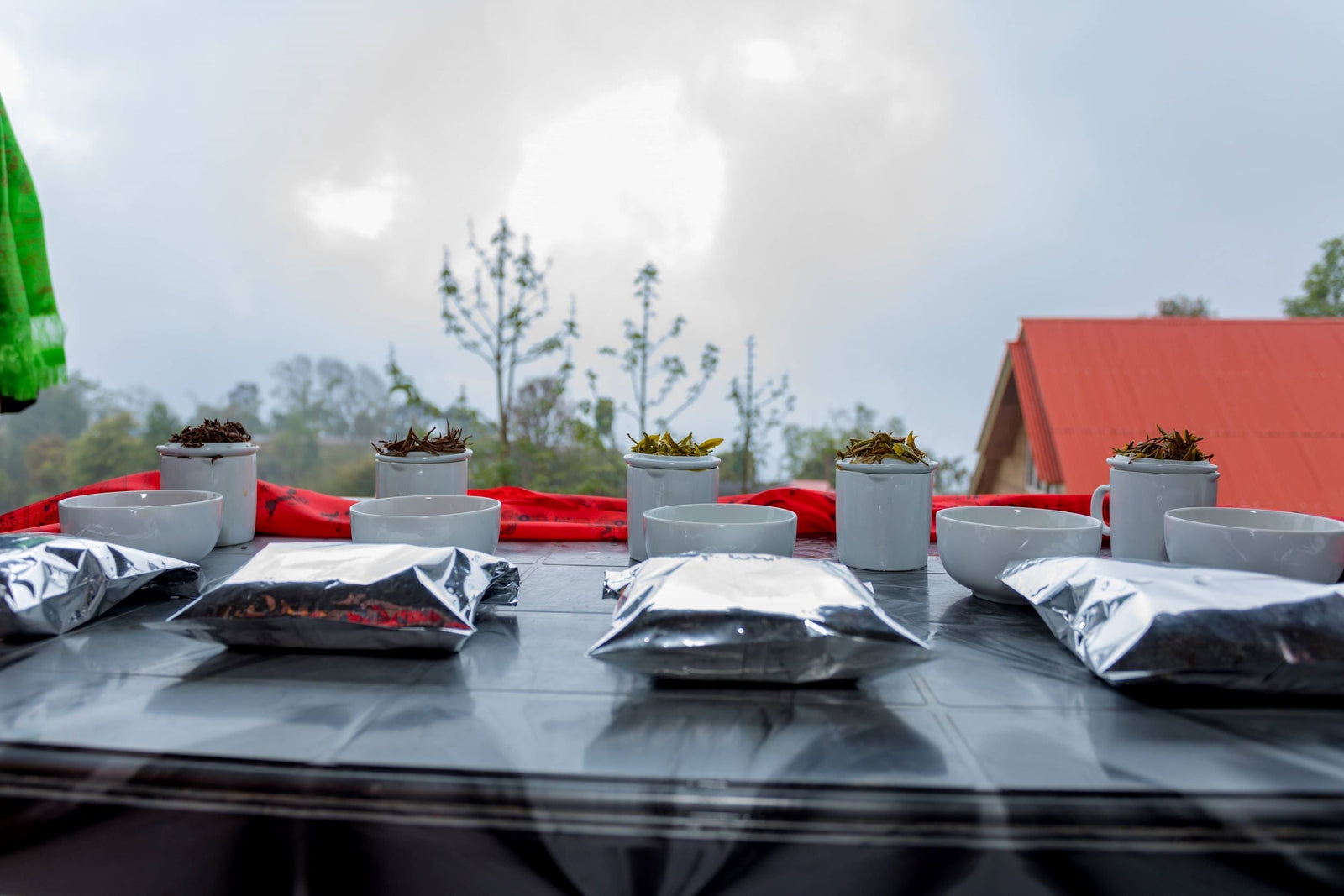 How To Brew The Perfect Cup Of White Tea: A Beginner's Guide - Nepali ...