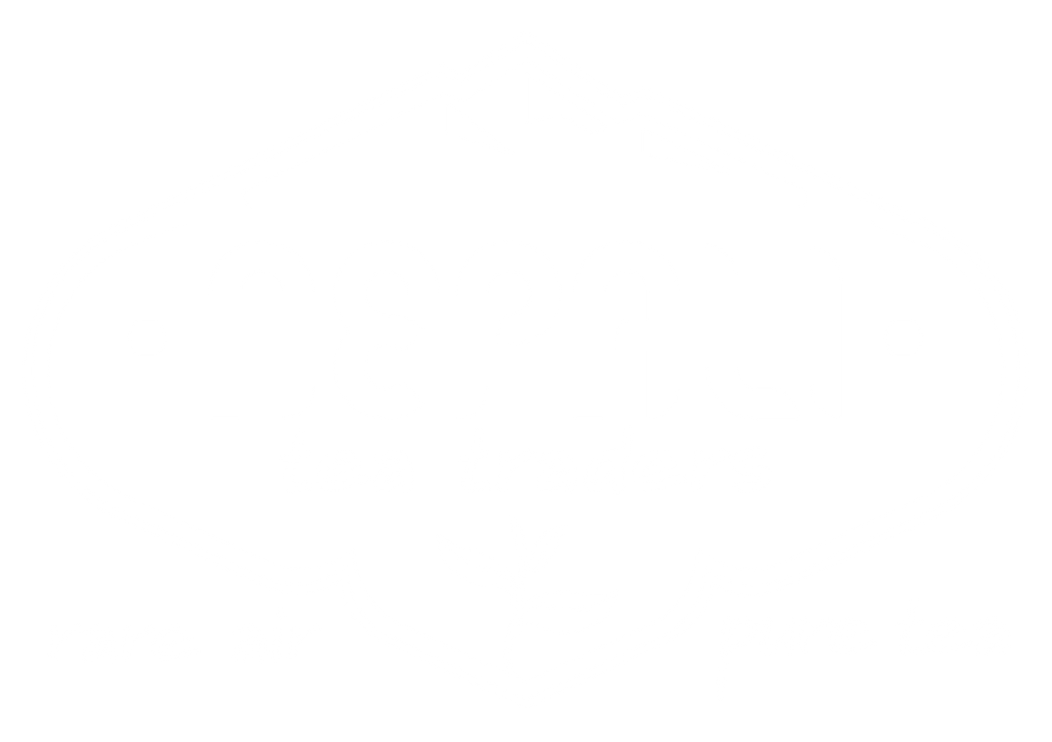 Why Drink Himalayan Tea? 5 Real Benefits – Nepali Tea Traders