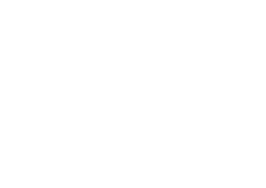 What Is Chiya? Nepali Milk Tea Recipe & Guide – Nepali Tea Traders