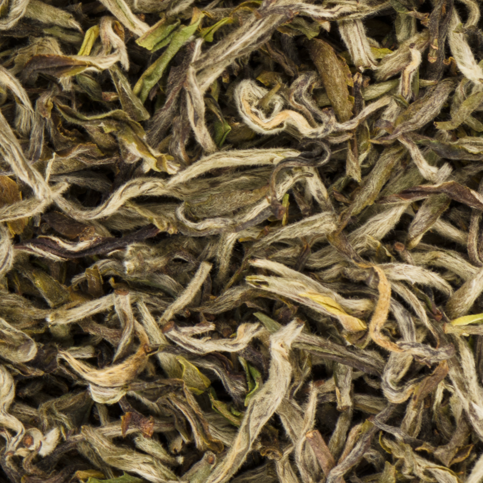 Best Teas for Refreshing Collection | Shop Now | Nepali Tea Traders